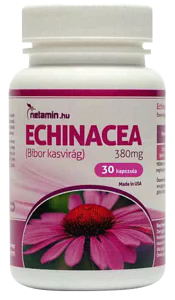 Echinacea 380 mg (30 kap.)