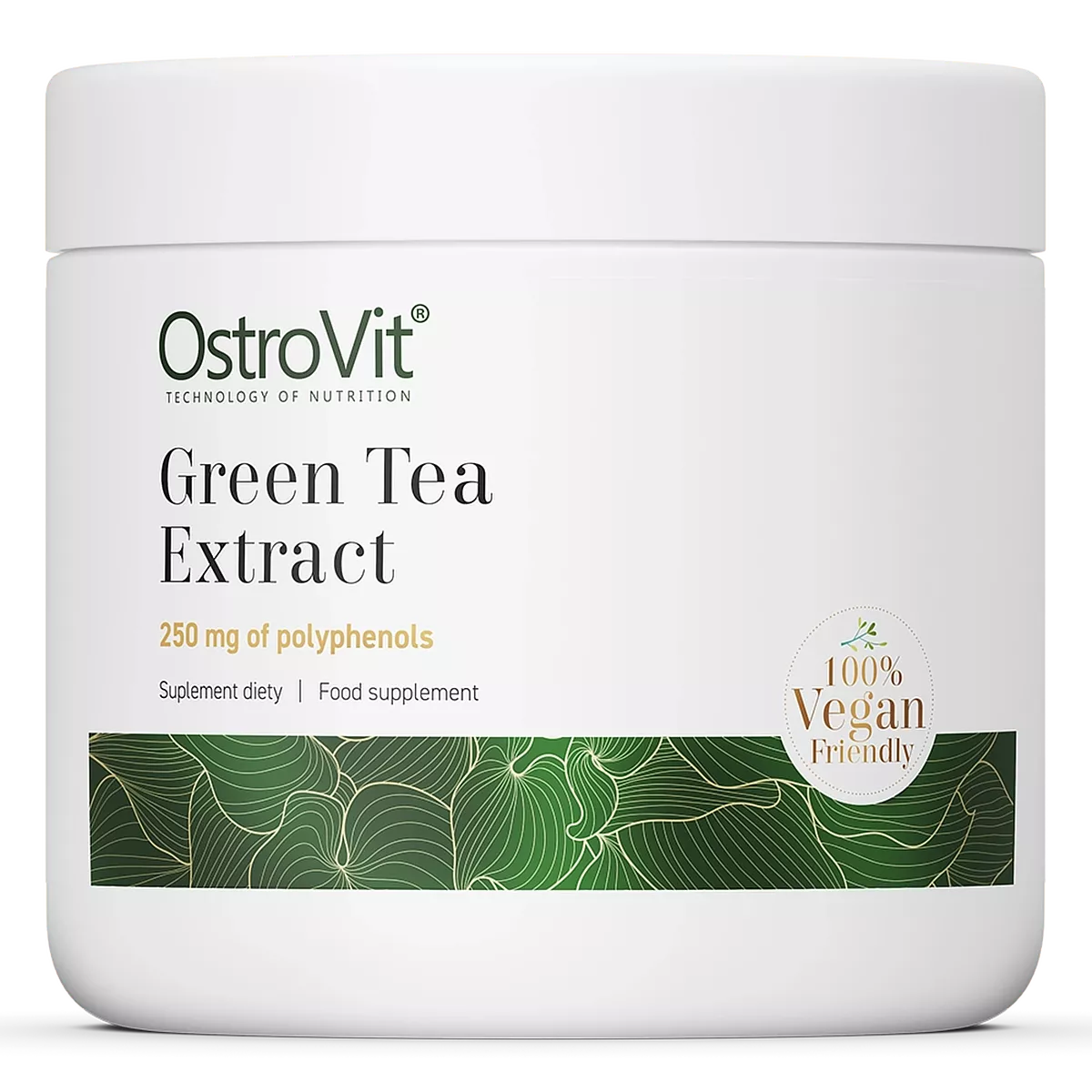 Green Tea Extract (100 gr.)