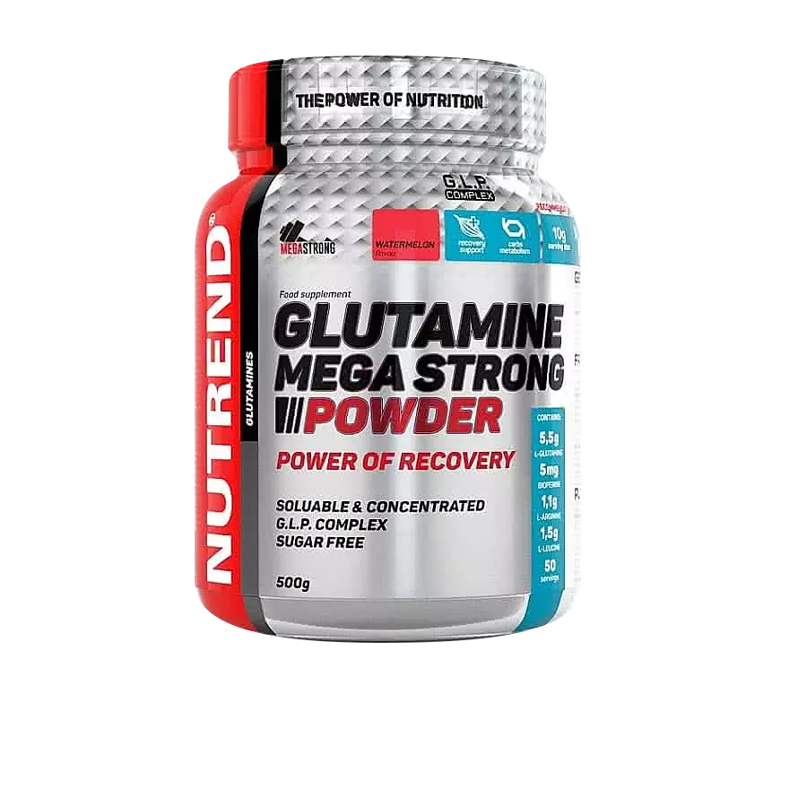Glutamine Mega Strong (500 gr.)
