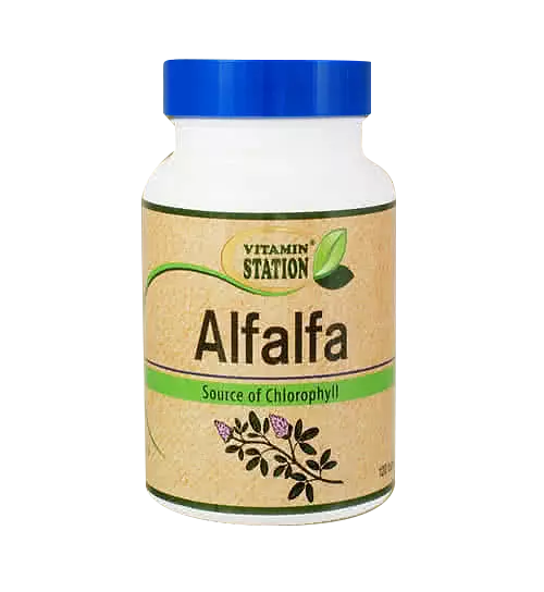 Alfalfa (120 tab.)