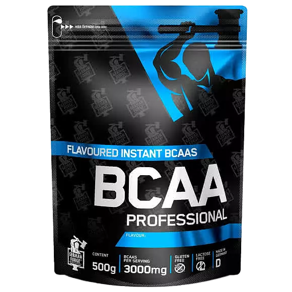 BCAA Professional (500 gr.)