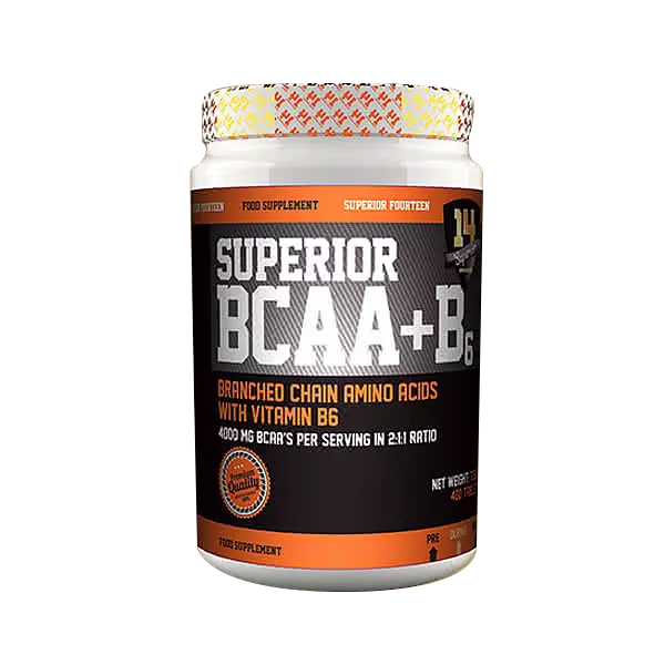 BCAA+B6 (210 tab.)