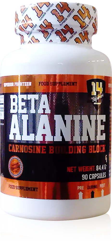 Beta Alanine (90 kap.)