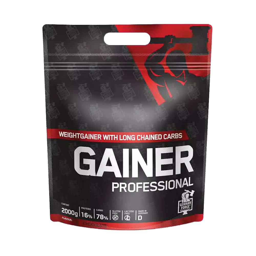 Gainer Professional (2 kg)