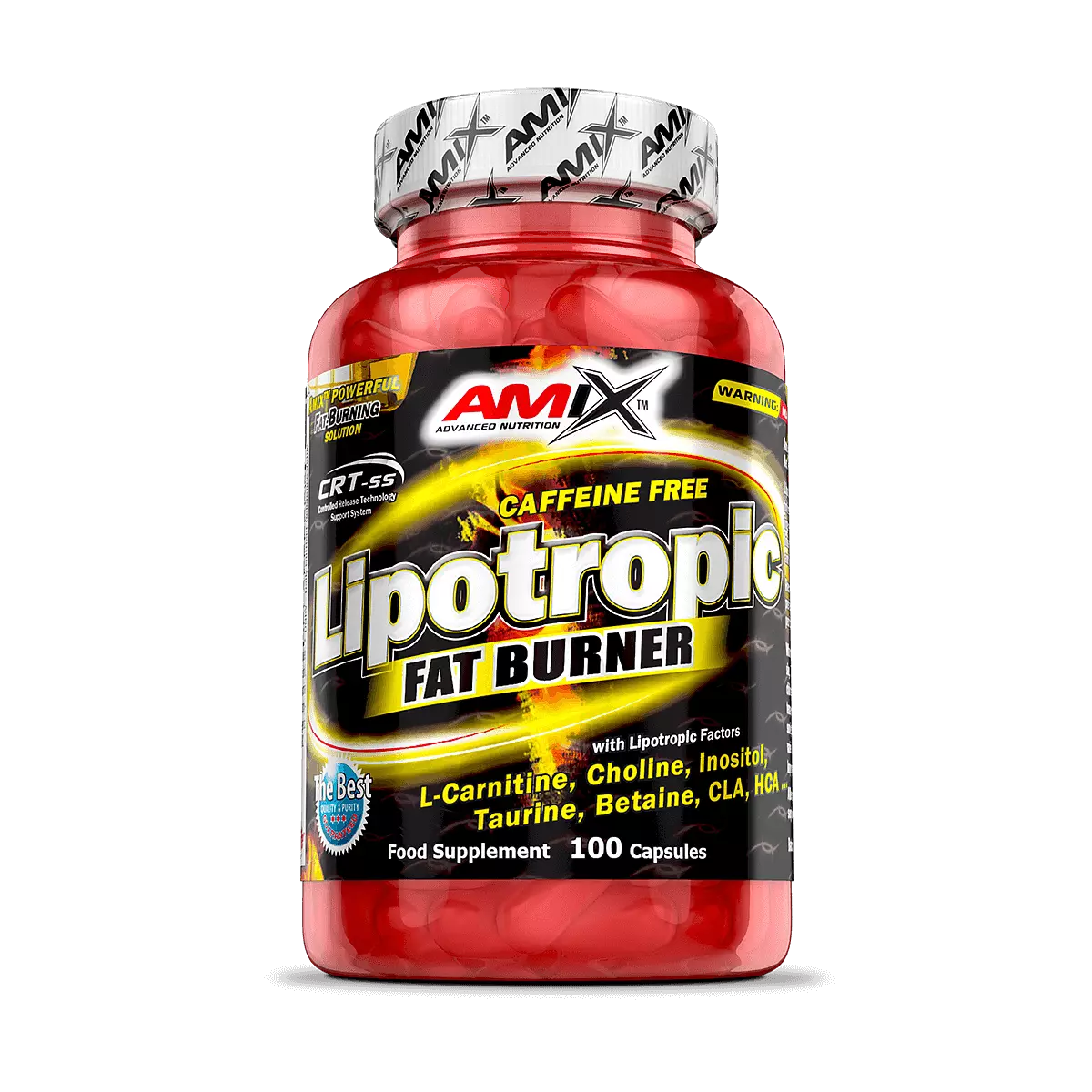 Lipotropic Fat Burner (100 kap.)