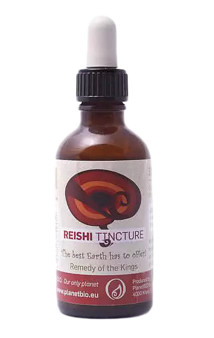 Reishi tincture (50 ml)