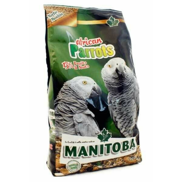 Manitoba African parrots