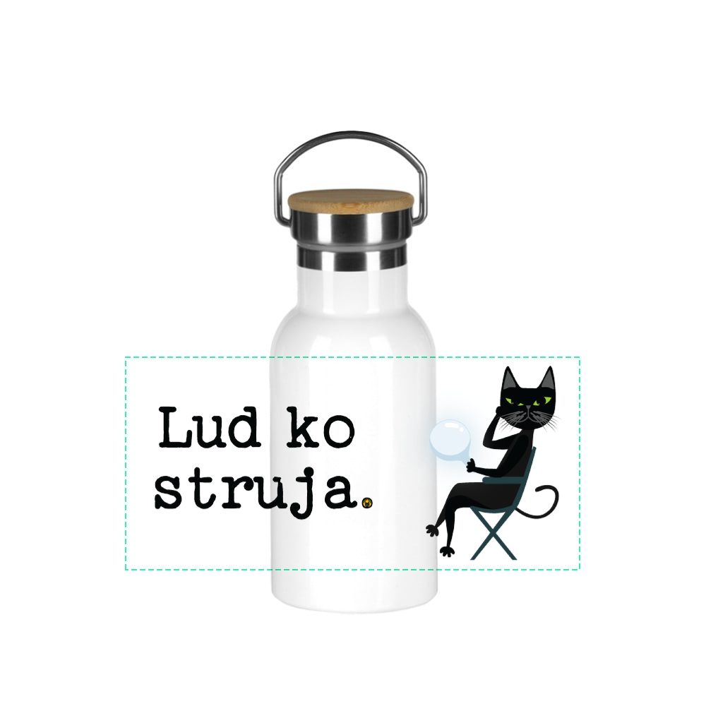 Lud ko struja