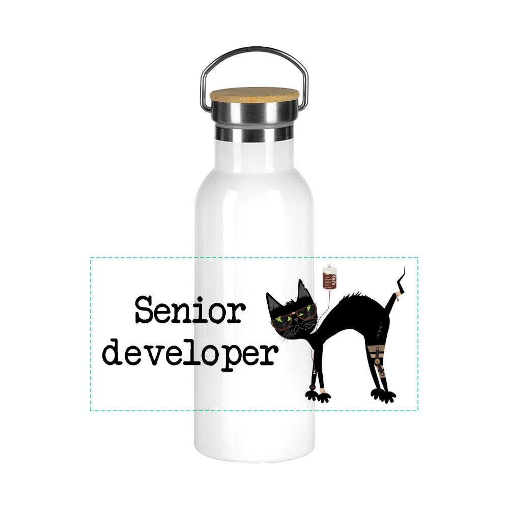 Senior developer