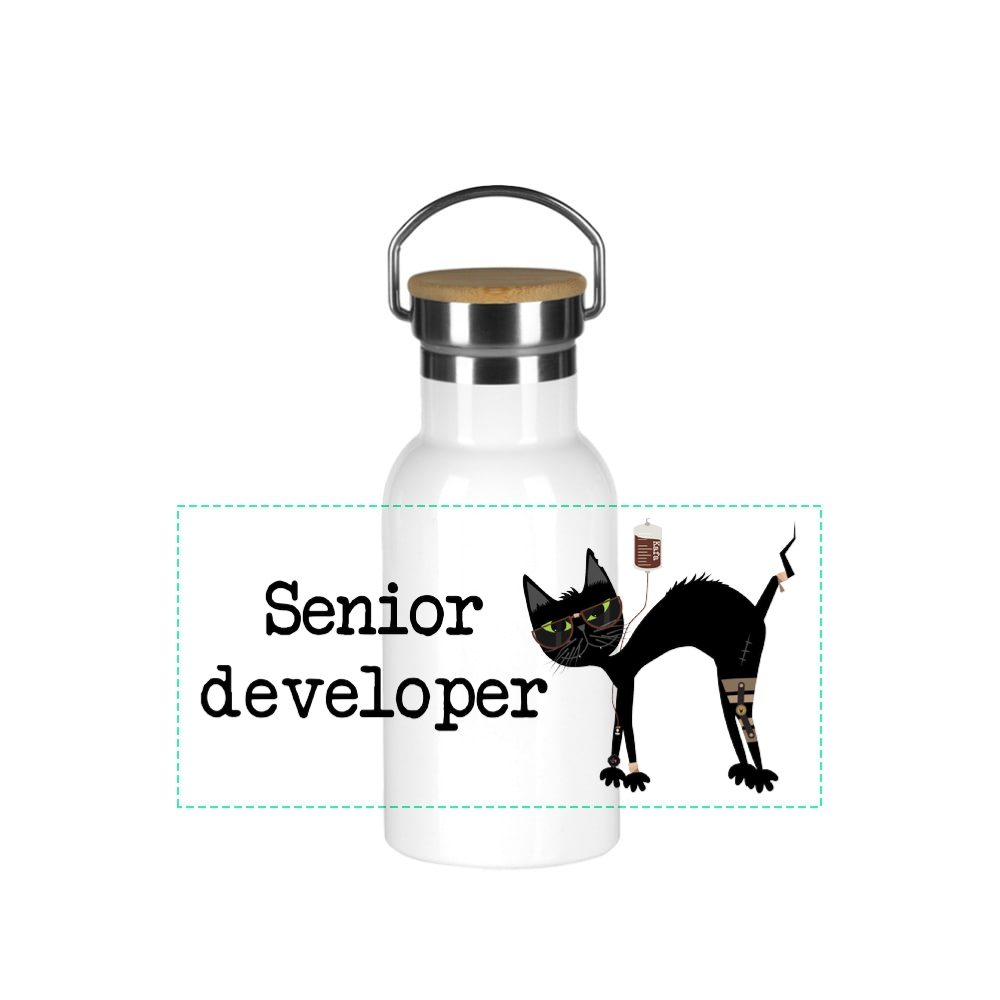 Senior developer