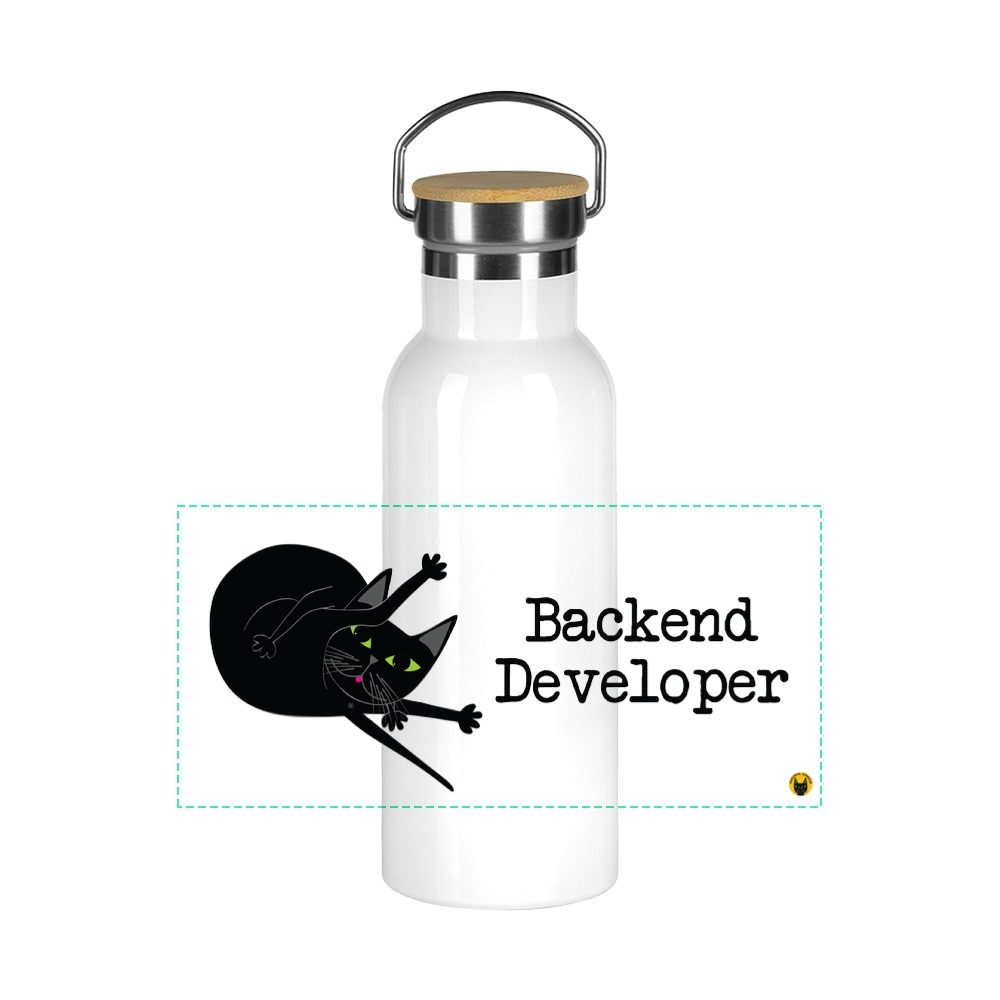 Backend develper