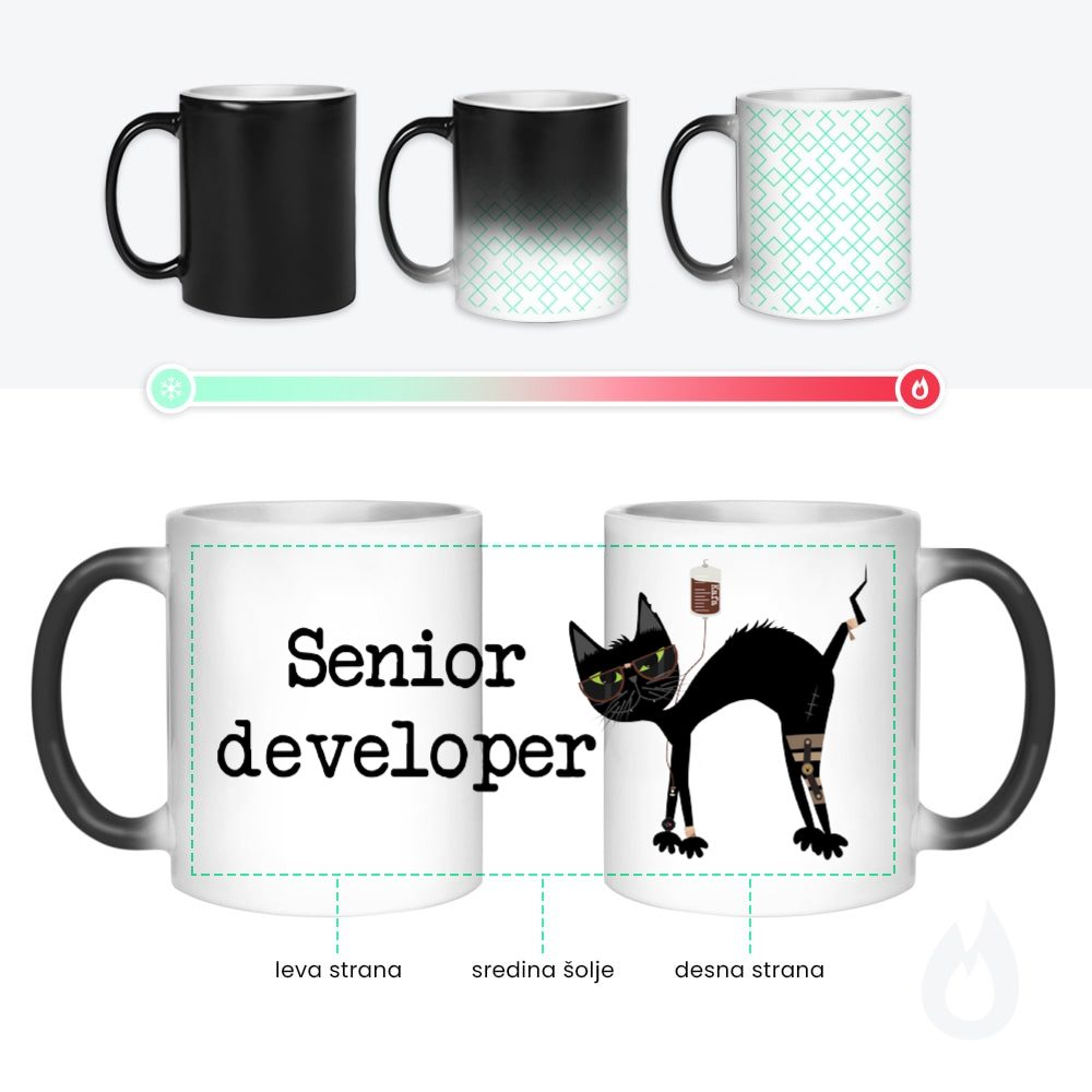 Senior developer