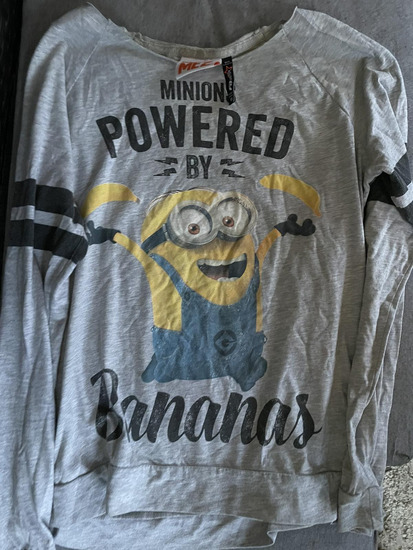 minions duks