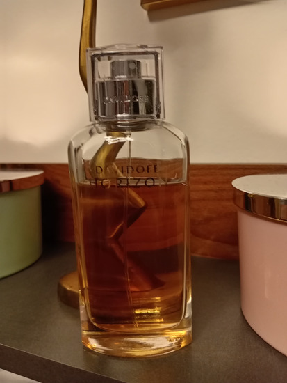 Original muski parfem Davidoff Horizon
