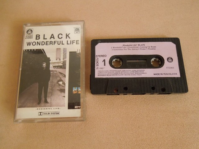 black-wonderful life