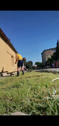 Košenje trimerom i održavanje vikendice, bašte, vrtova…