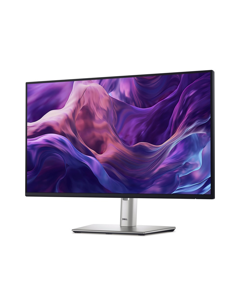 DELL 23.8 inch P2425H 100Hz Professional IPS monitor