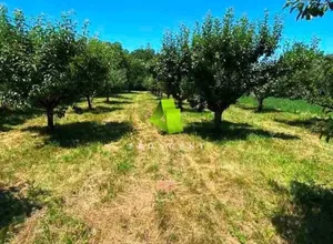 Prodaja Građevinsko zemljište - Niš-Crveni Krst, Mezgraja