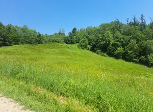 Prodaja Plac - Ivanjica, Lisa