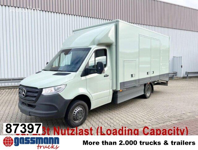 Mercedes-Benz Sprinter 516 FG 4x2, MBUX, Autotransporter kamion furgon