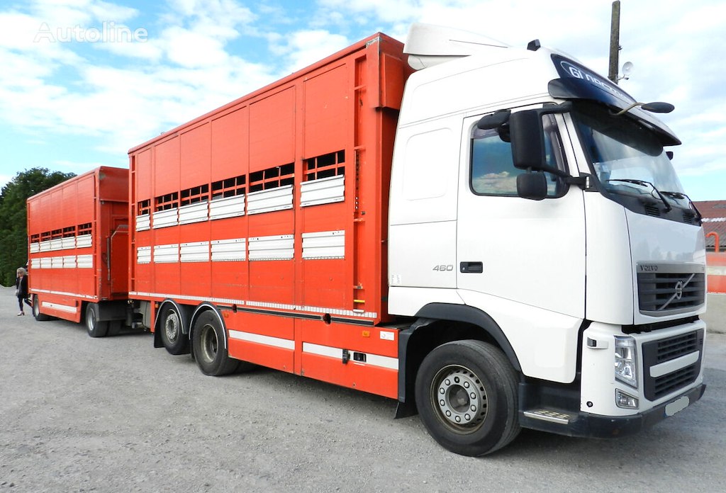 Volvo FH 460 kamion za prevoz stoke + prikolica za prevoz stoke
