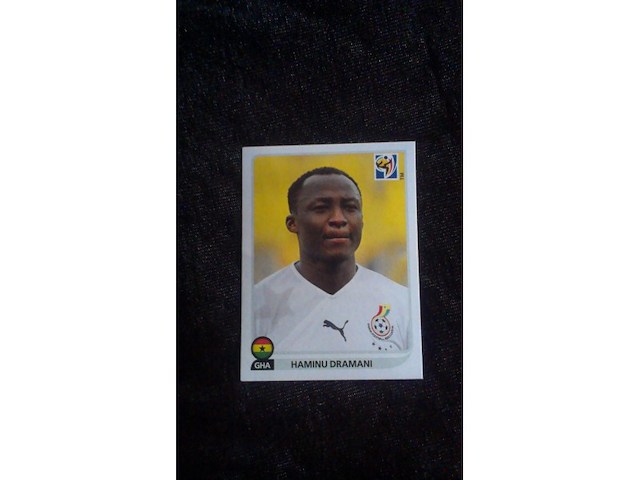 Panini FIFA 2010 J.Afrika sličica broj 329