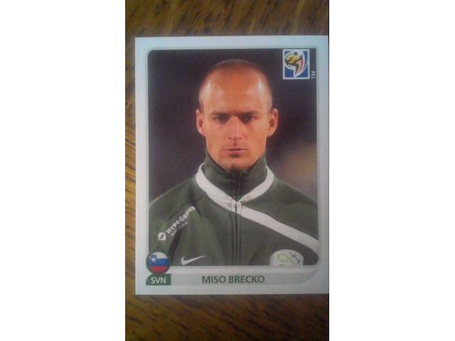 Panini FIFA 2010 J.Afrika sličica broj 243