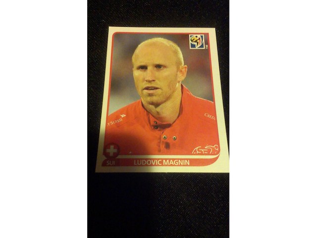 Panini FIFA 2010 J.Afrika sličica broj 584