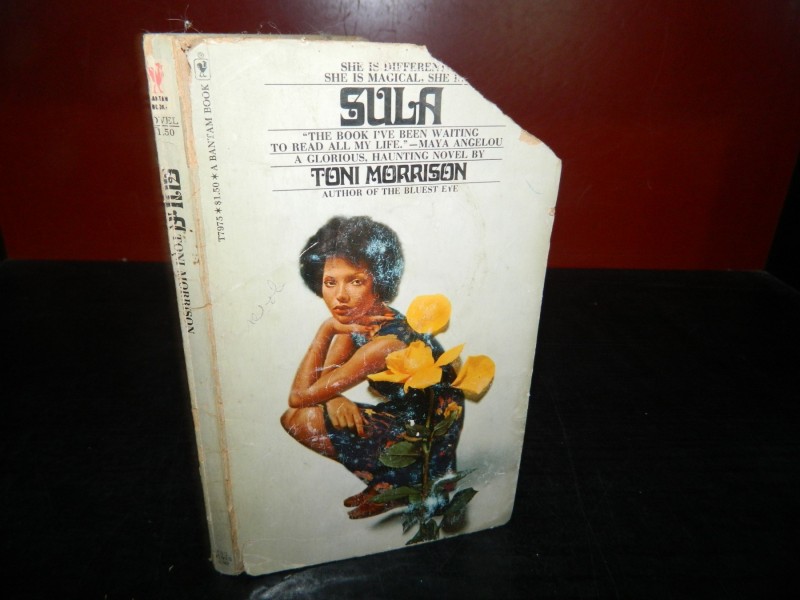 Sula, Toni Morrison