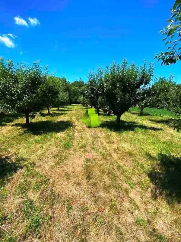 Prodaja, zemljište, 1760m2, Crveni Krst, Niš