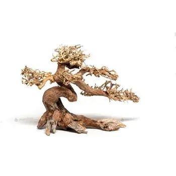 Aquadeco Claw Bonsai, L, 25x18cm