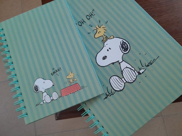 Snoopy sveske i fascikle - NOVO!