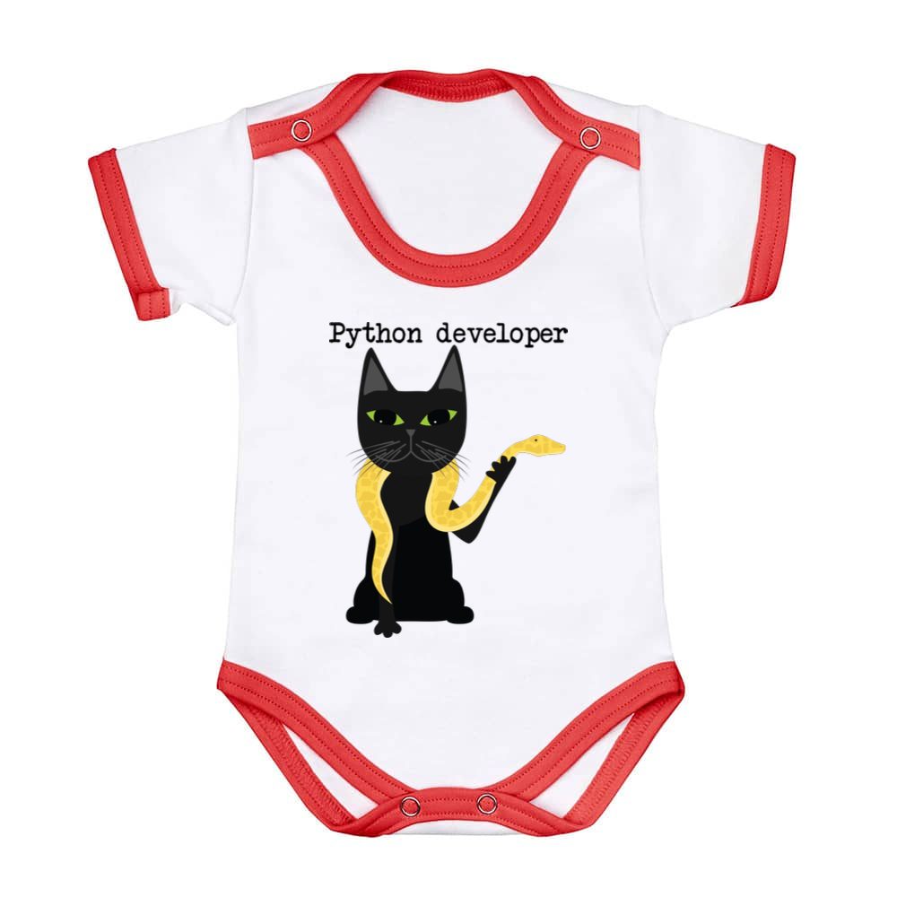 Python developer