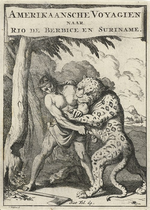 Man in combat with a panther (1695) (American voyages to the Rio Berbice and Suriname)