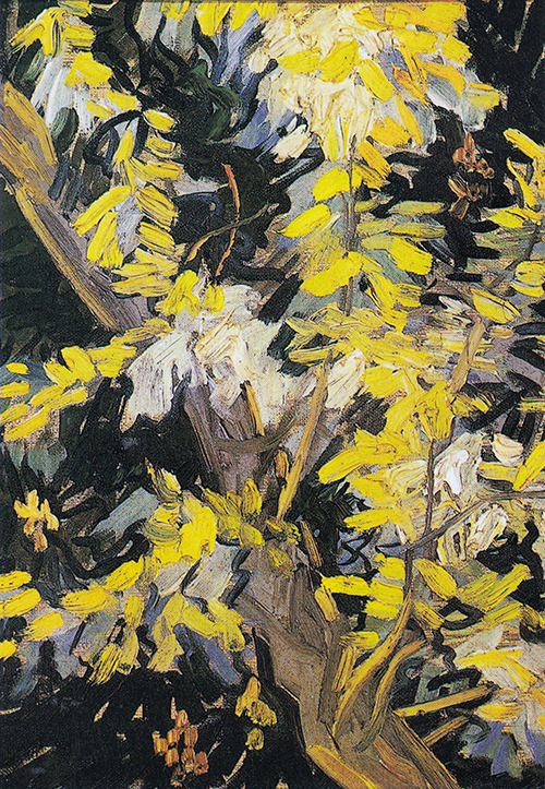 Blossoming Acacia Branches (1890)