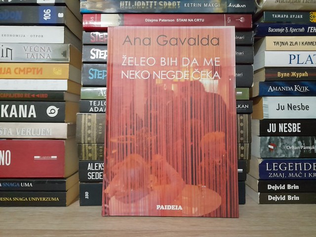 Želeo bih da me neko negde čeka - Ana Gavalda