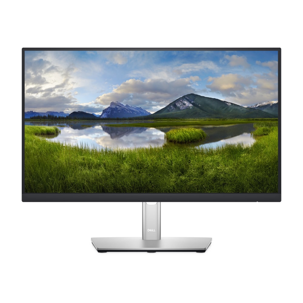 DELL 21.5" IPS P2222H Monitor