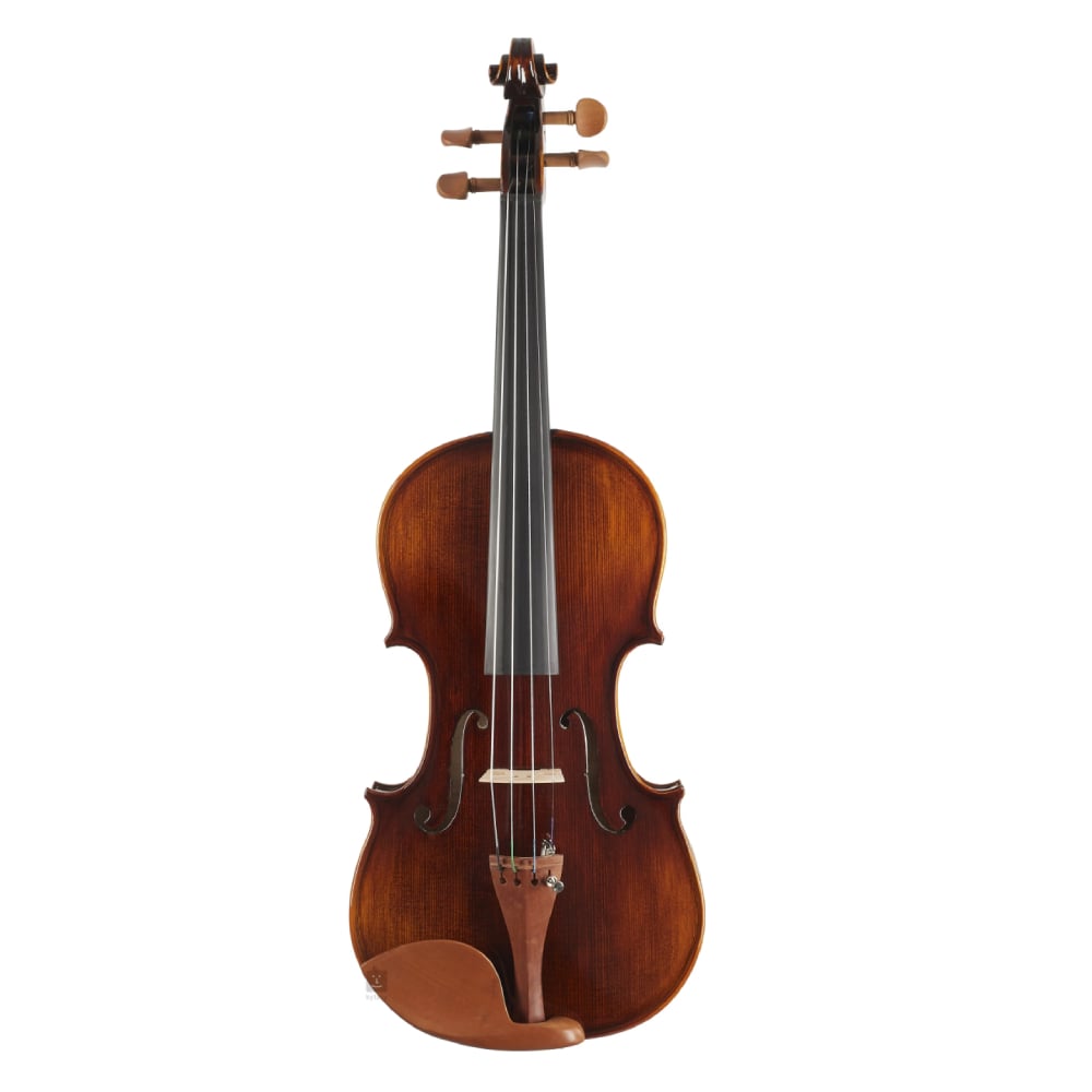 WAKERTONE V5S-4/4 Violina sa koferom i priborom