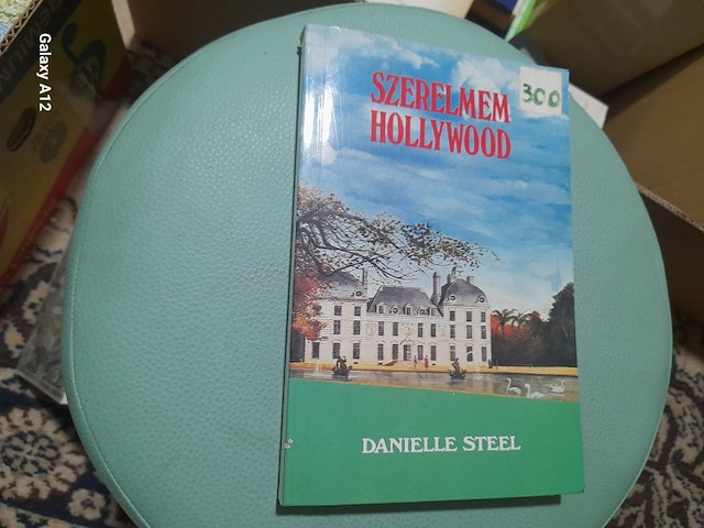 Danielle Steel Szerelmem Hollywood