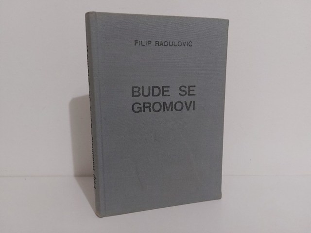 Bude se gromovi  - Filip Radulović