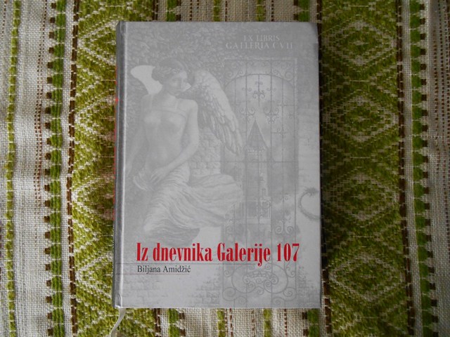 Biljana Amidžić - Iz dnevnika Galerije 107