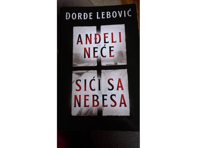 ANĐELI NEĆE SIĆI SA NEBESA, Đorđe Lebović