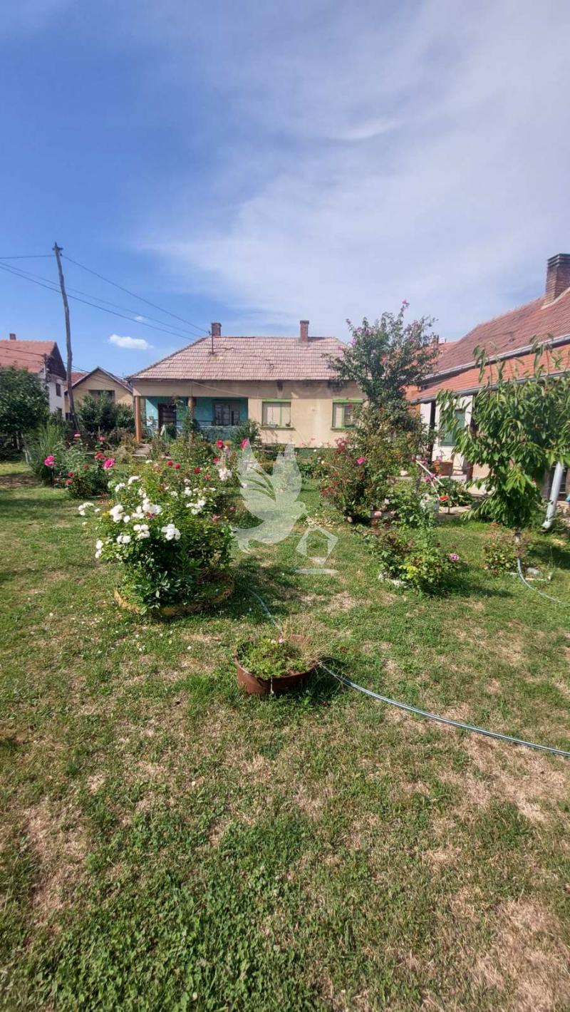 Dve kuće od 60 m2 i 80 m2 u Kovačevcu, Mladenovac #K585 #1208 40.000 €