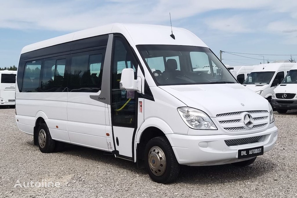 Mercedes-Benz SPRINTER LIGNEO EXCE *klima*NOWY SILNIK* putnički minibus