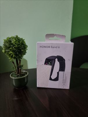 Honor band 6