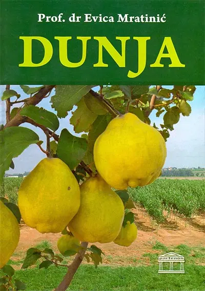 Dunja