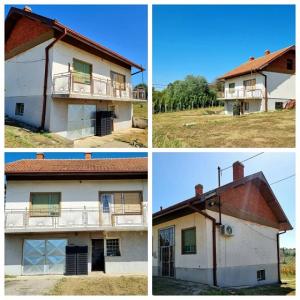 Kuca sa plantazom borovnice u blizini Smederevske Palanke