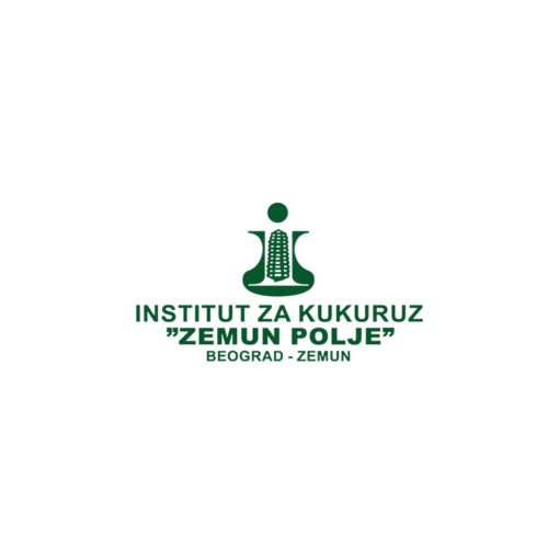 Seme kukuruza ZEMUN POLJE ZP 684