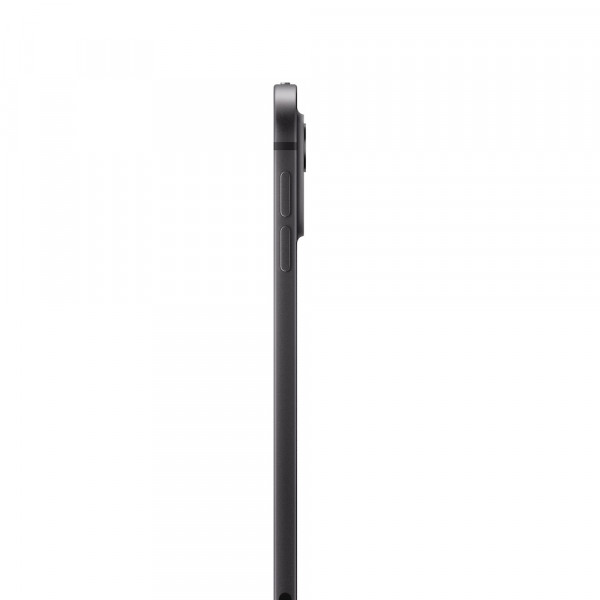 Apple 11-inčni iPad Pro M4 Wi-Fi 256GB sa standardnim staklom - Space Black