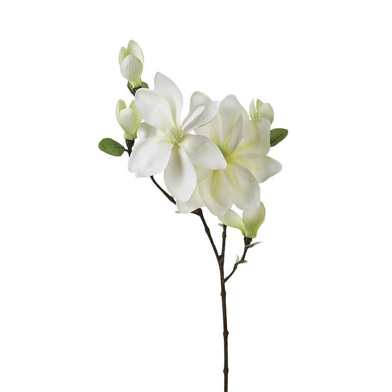 Magnolia stem 25x79cm poliester/plastika